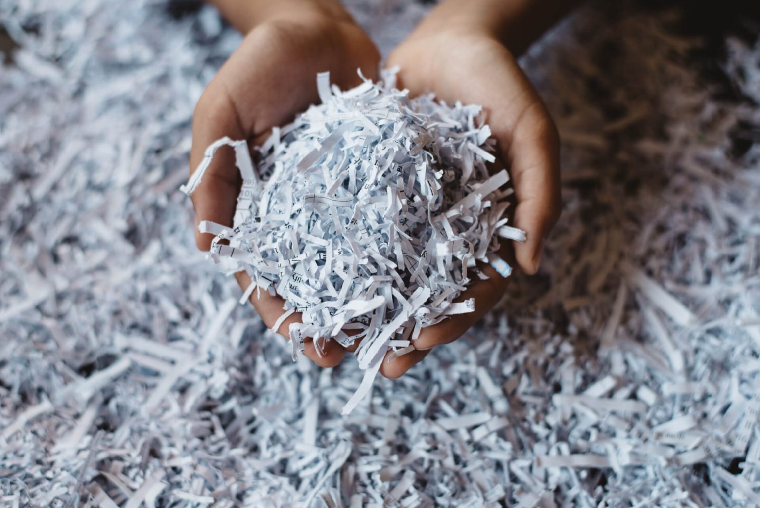 The Shred Source